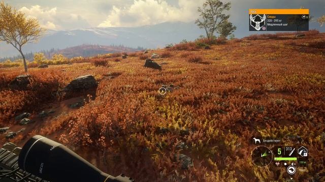 Охота на лося.