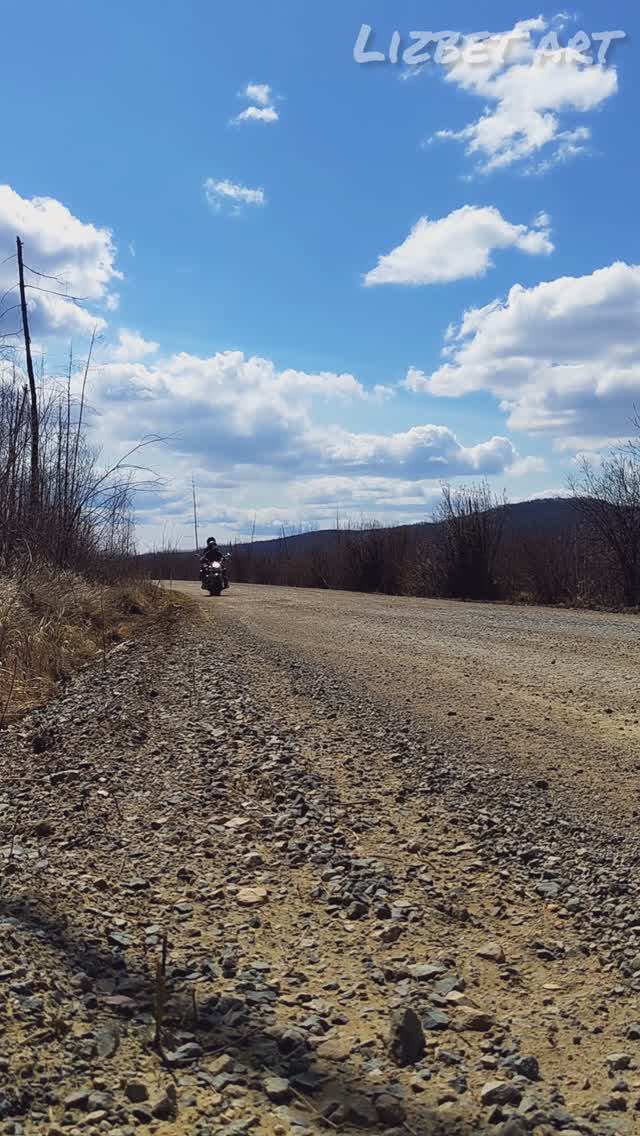 Отчёт о проведенных майских, полная версия в тг 😉 #tiktok #shorts #art #lizbet