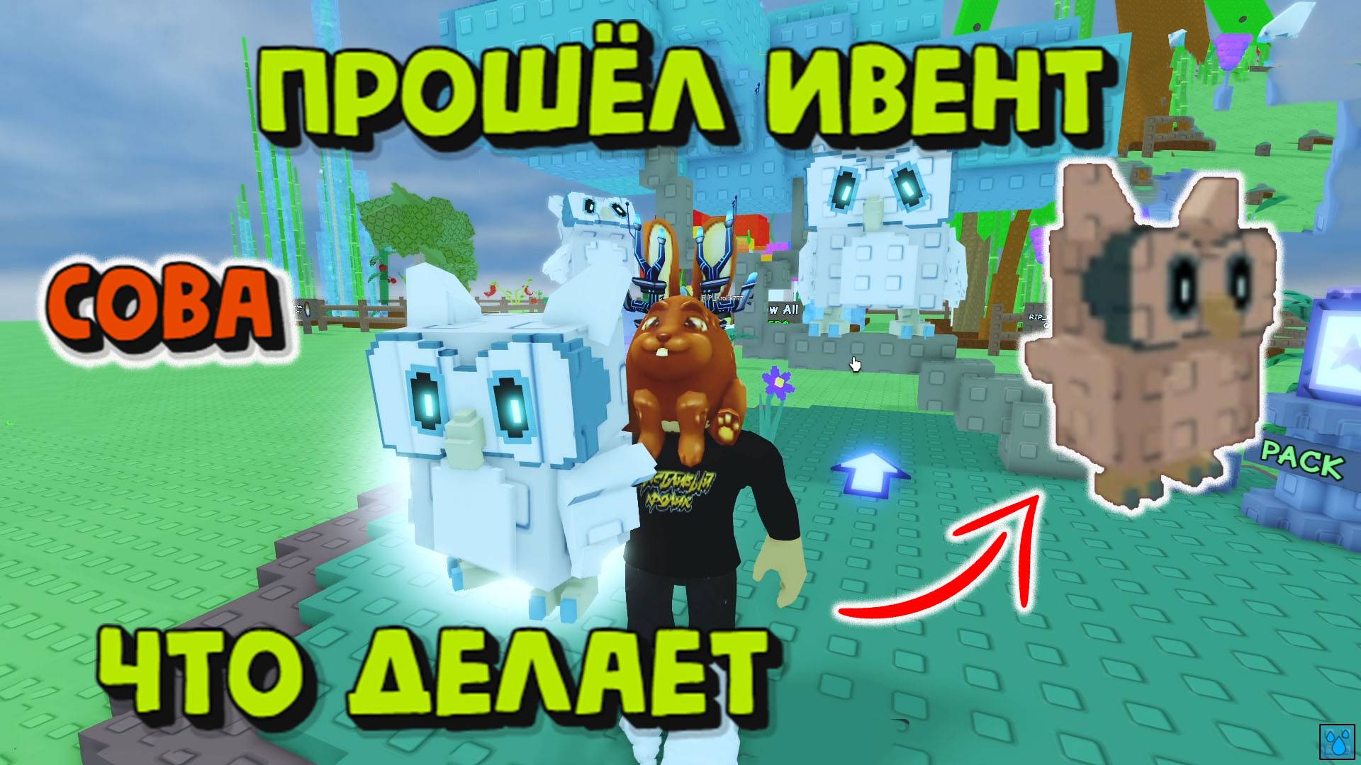 Сова Что делает Grow a garden