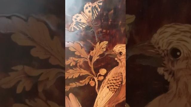 Интерьеры, виды из окон, живопись. Эпизод 17.