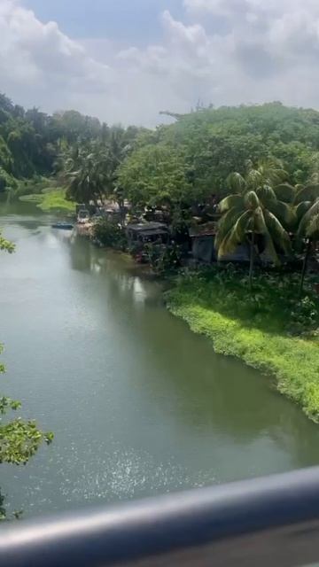 В столице Кубы Гаване красивая дикая природа