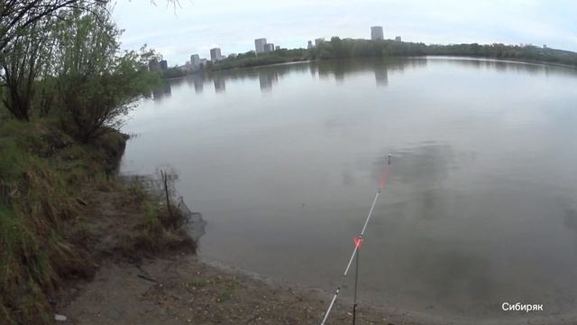 Удачная рыбалка на фидер в НСК. Бешеный клёв рыбы