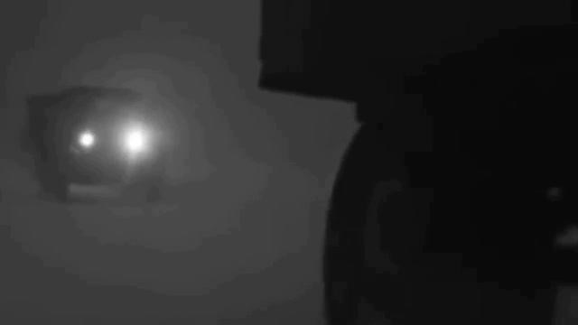 2.2_Дед Мороз из 390-го автобата