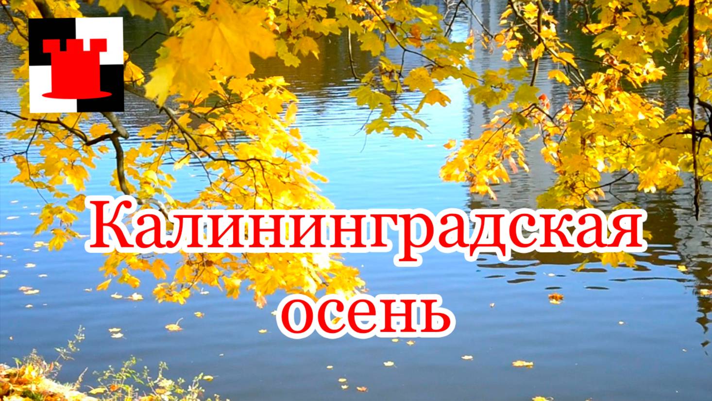 Калининградская осень - она бывает сказочной!