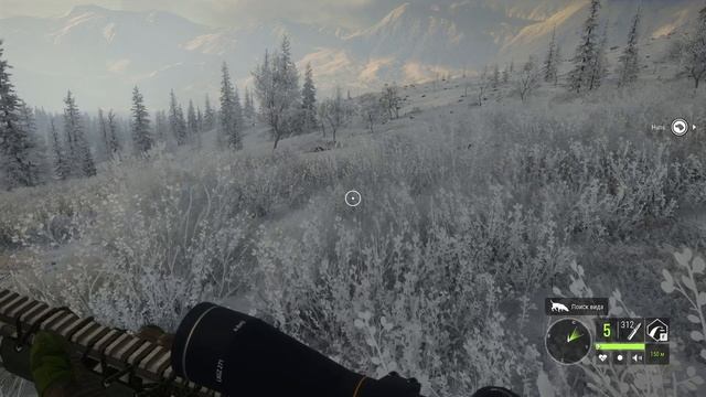 Охота на лису.