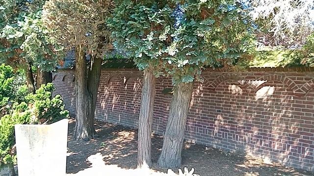 Тропарь греческий святому Мокию священномученику, 11 мая