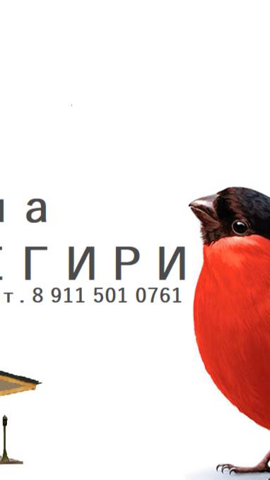 Дома СНЕГИРИ