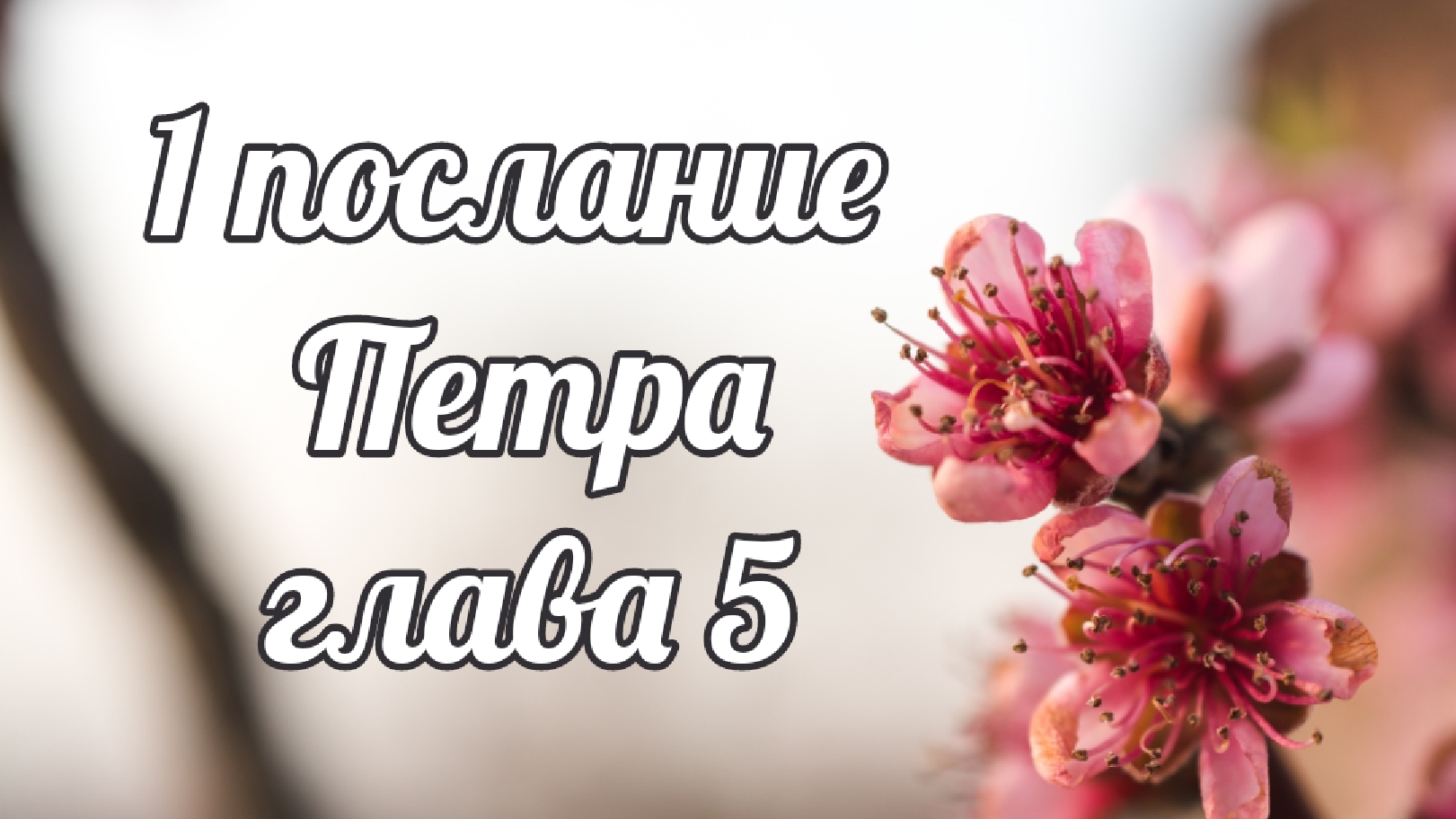 1 послание апостола Петра глава 5
