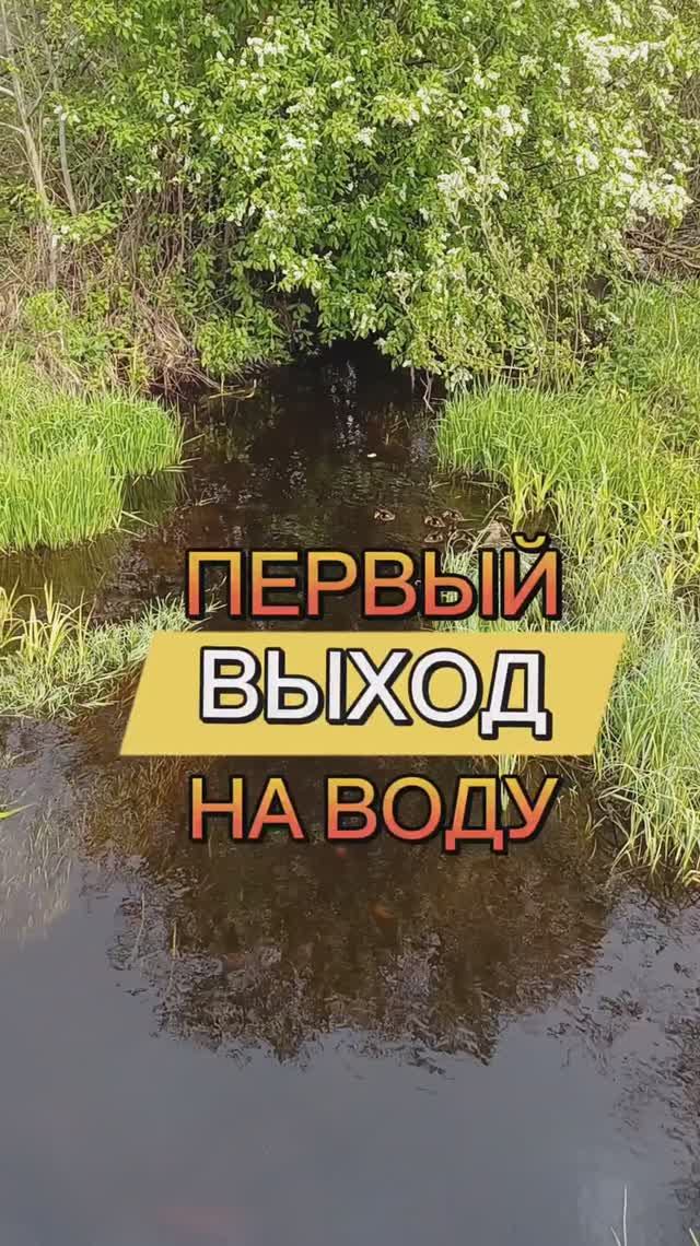 Первый выход на воду 🦆👍