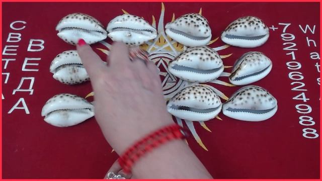 Гадание на ракушках ИСПОЛНЕНИЕ ЖЕЛАНИЯ #онлайн #таро Светлана ВЕДА