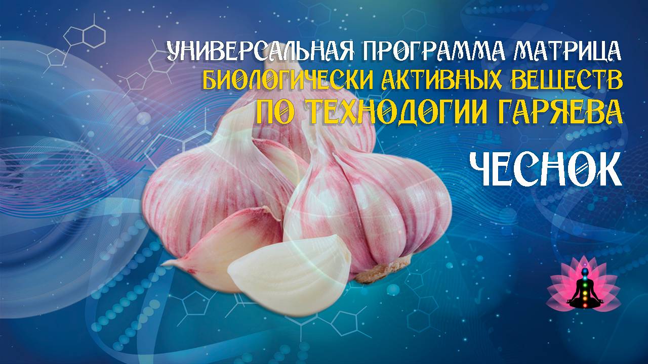 Чеснок 🔊 программа матрица по технологии Гаряева П.П ☀️ SoftRadio.ru
