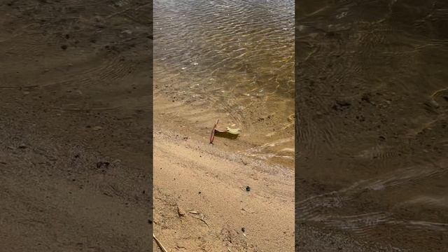 На Протяжке с внуком. Часть 4. Саров. 08.05.25. Запускаем кораблик из коры