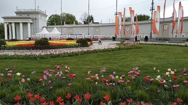 ТЮЛЬПАНОВАЯ КРАСОТА У ВДНХ 🌷😍