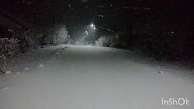 Мы с собакой одни во Вселенной