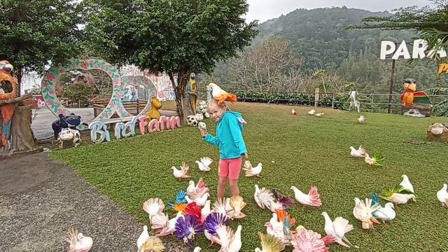 Цветные голуби в парке птиц Paradise Park Farm на острове Самуи, Таиланд