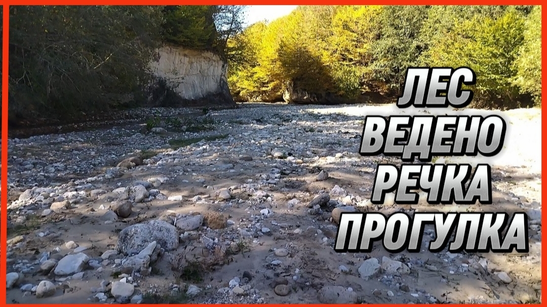 ЛЕС ВЕДЕНО РЕЧКА ПРОГУЛКА