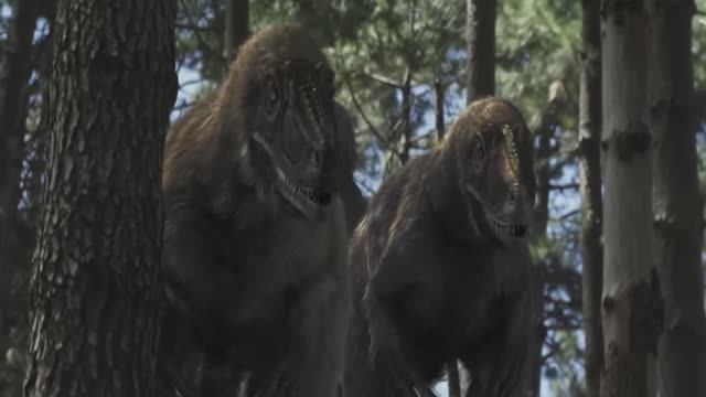 🎬 Тайна пернатых динозавров. Палеонтология. Эволюция.