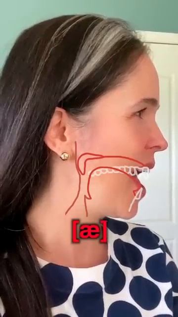 American English Sounds AA [æ]