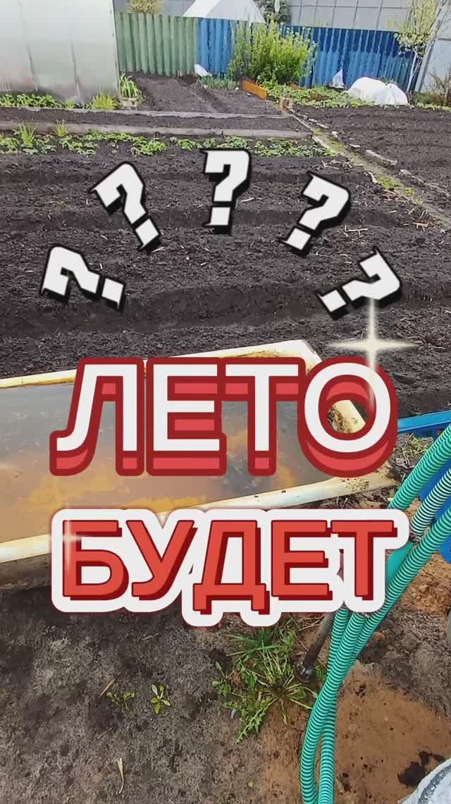 Лето будет 🤔😭