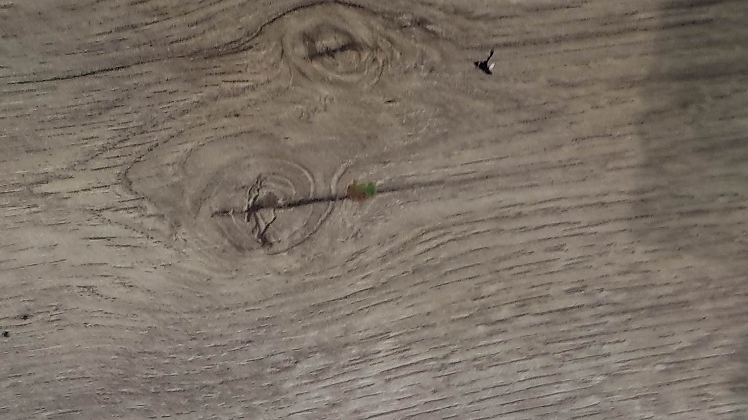 гайд как получить что угодно