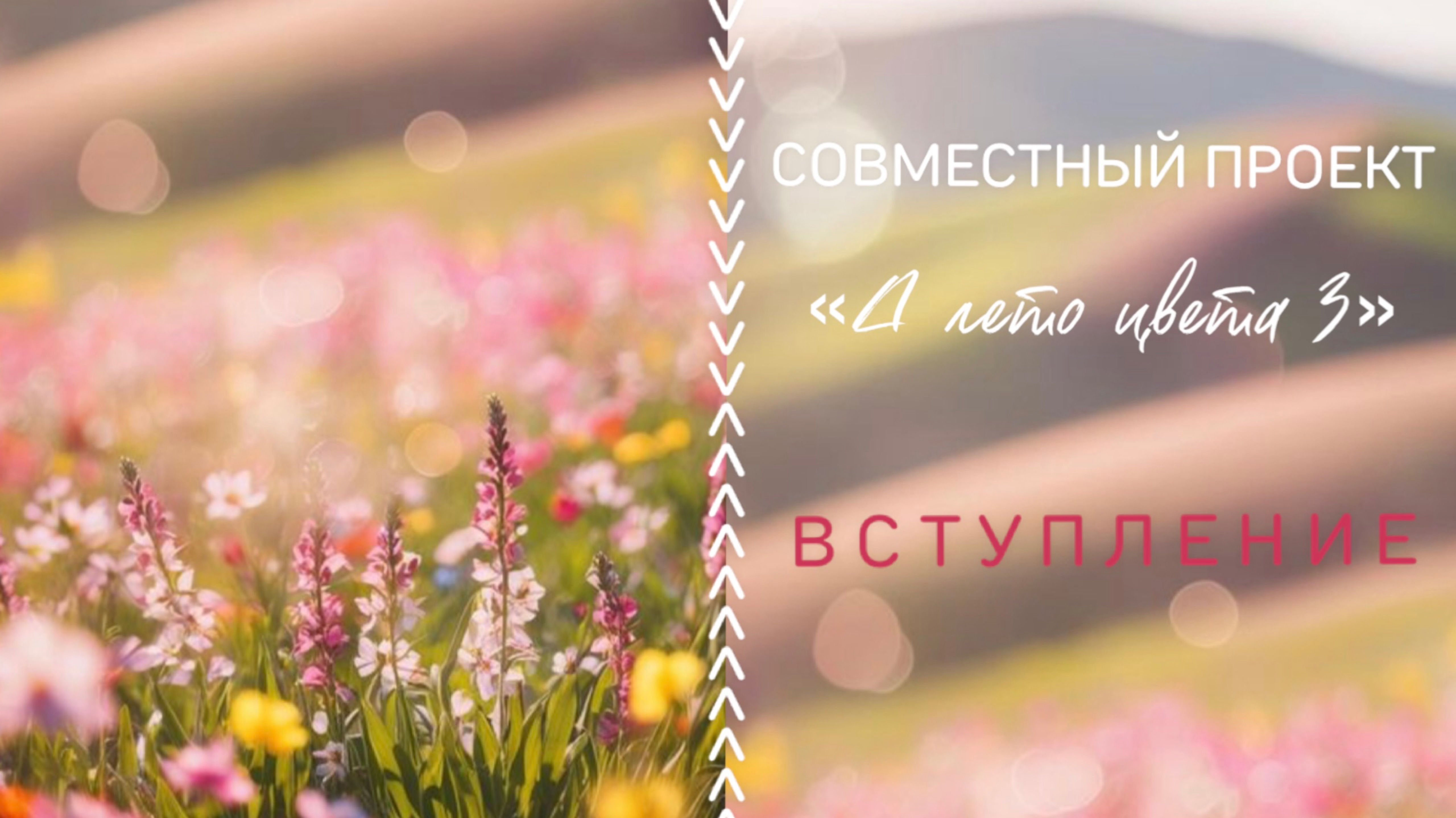 СП «А лето цвета 3». ВСТУПЛЕНИЕ | #свойклубок