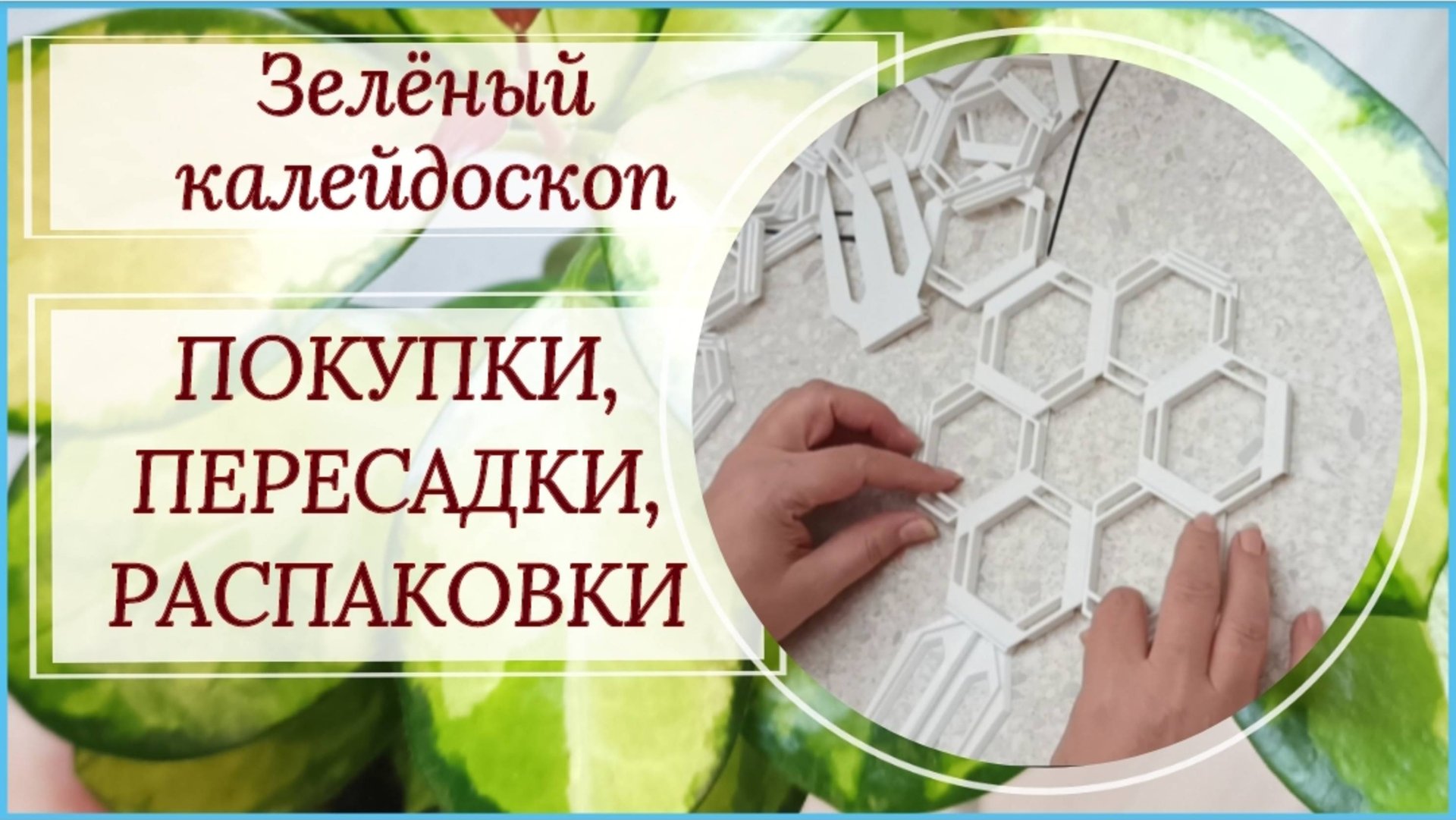 Зелёный калейдоскоп. Покупки, пересадки, распаковка посылки 📦.