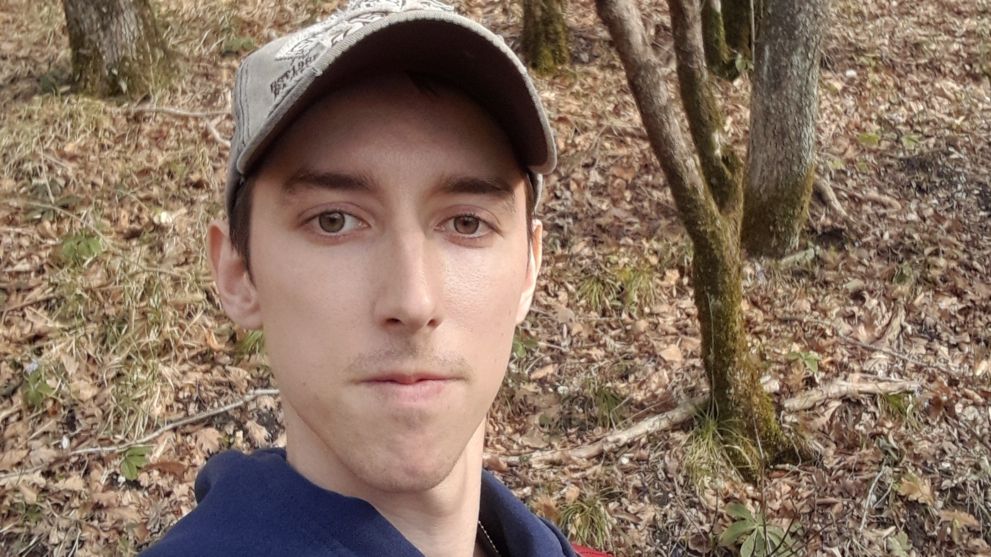 Прогулка в Лесу.