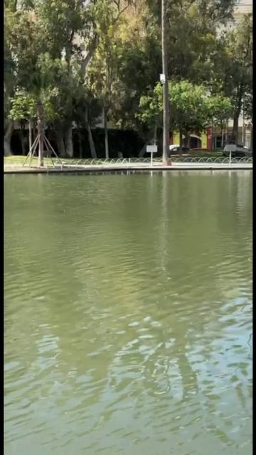 У них развод или пауза в отношениях?