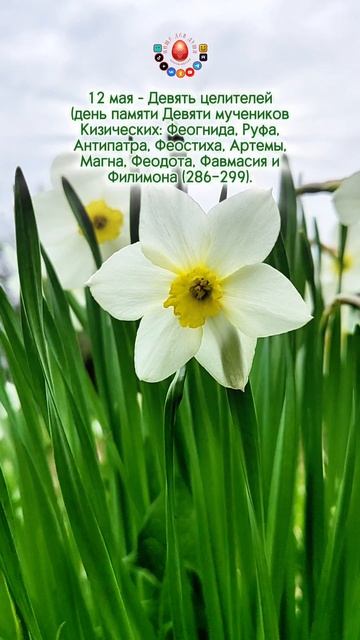 В день Девяти целителей...