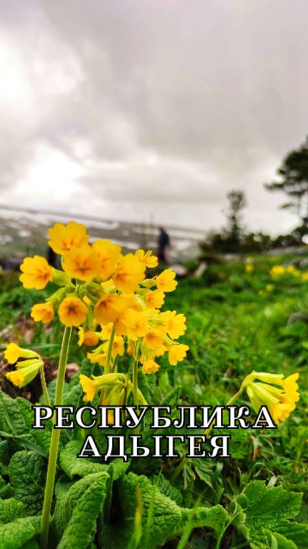 Республика Адыгея. Азишская панорама, плато Лаго-Наки, Даховская панорама. 2025