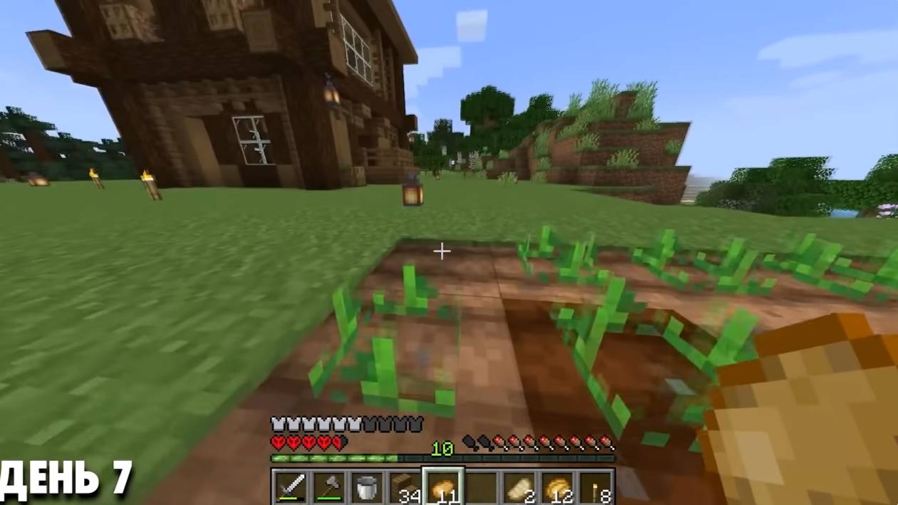 выживание в бэд варс