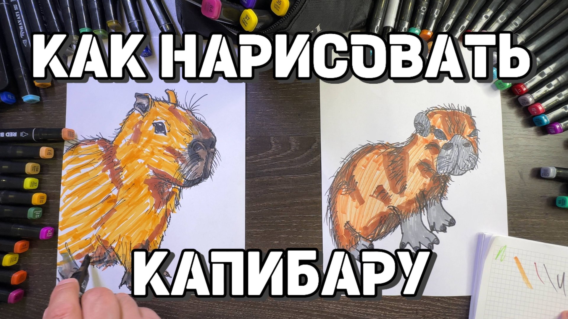 Как нарисовать капибару, пошаговый урок рисования маркерами для начинающих