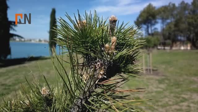 Кинематографический ролик, снятый с помощью Nokia 808 PureView