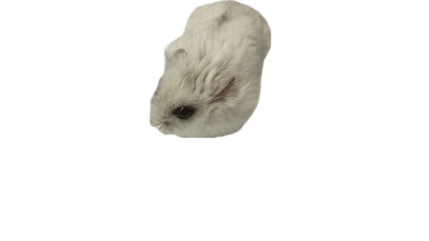 мемчик