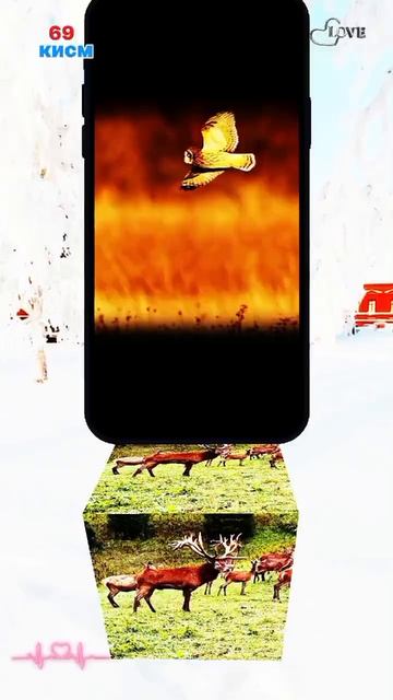 Хеч качон хаётдан нолиманг ☝️🤝✊️💞