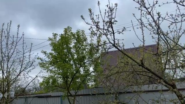 Утро 11 мая 2025г.