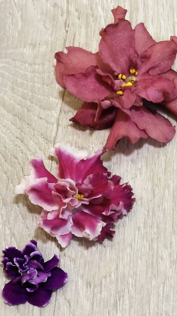 Две недели роспуска цветка за 30 секунд. #фиалка #сенполии #красота #цветывдоме #за30секунд