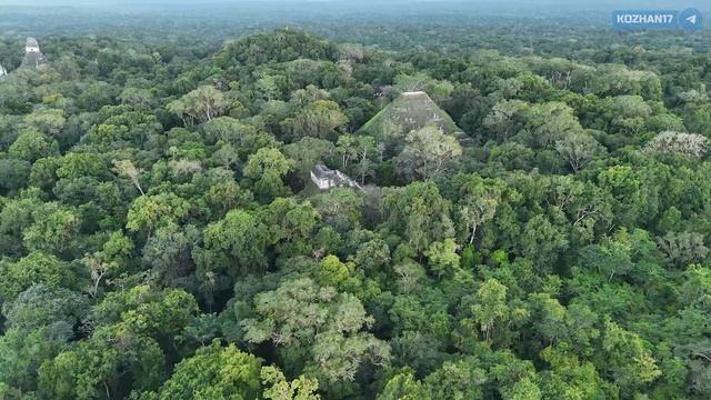 Экскурсии в Гватемале - Город Майя Тикаль (Tikal National Park)