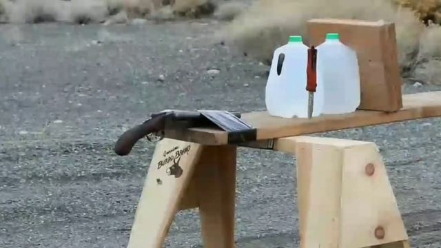 Что будет ?!, если из обреза двустволки, выстрелить трассером от винтаря)))