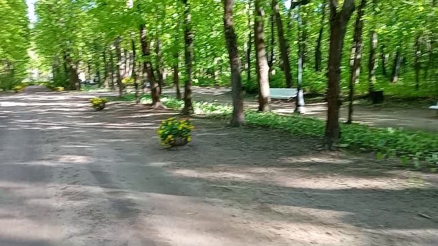 Нескучный сад. Прогулка по историческии аллеям сада, хорошее место для отдыха.Парк Горького Москва