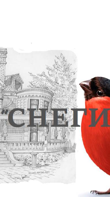 Дома СНЕГИРИ. (Отделка 1 )