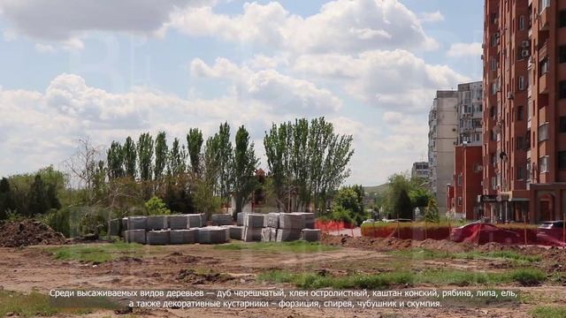 Благоустройство территории вдоль Волго-Донского канала. 07.05.2025