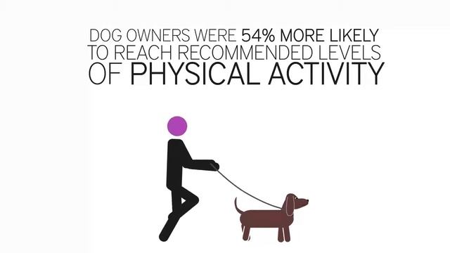 19 Facts with Hope - Having a Pet