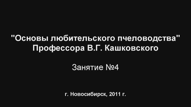 Занятие №4. Курсы В.Г. Кашковского.
