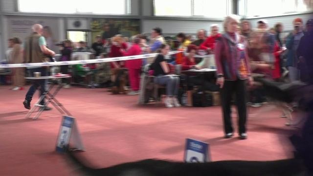 Сравнение промежуточного класса