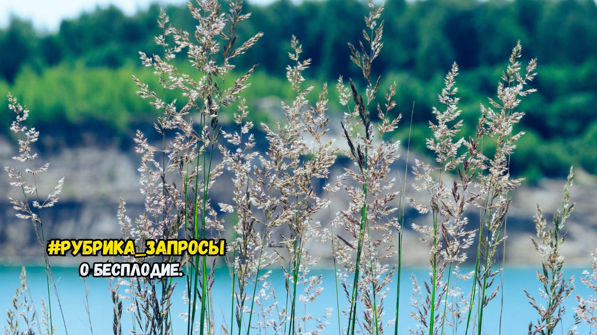 О бесплодие.