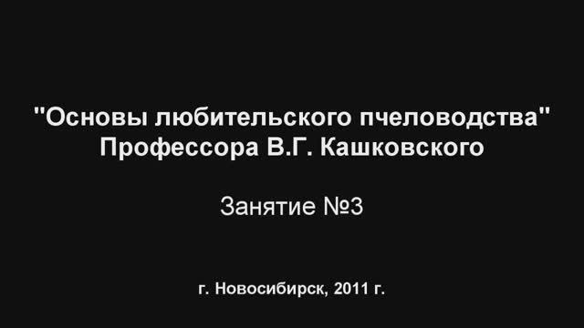 Занятие №3. Курсы В.Г. Кашковского.