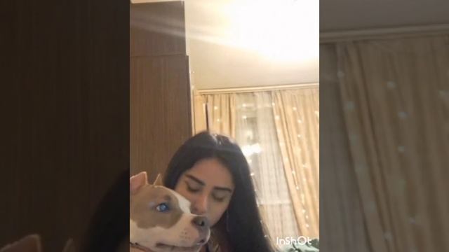 70 Талант к "чтению" настроения хозяина