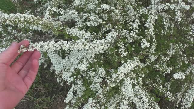 Я на даче 04.05.2025