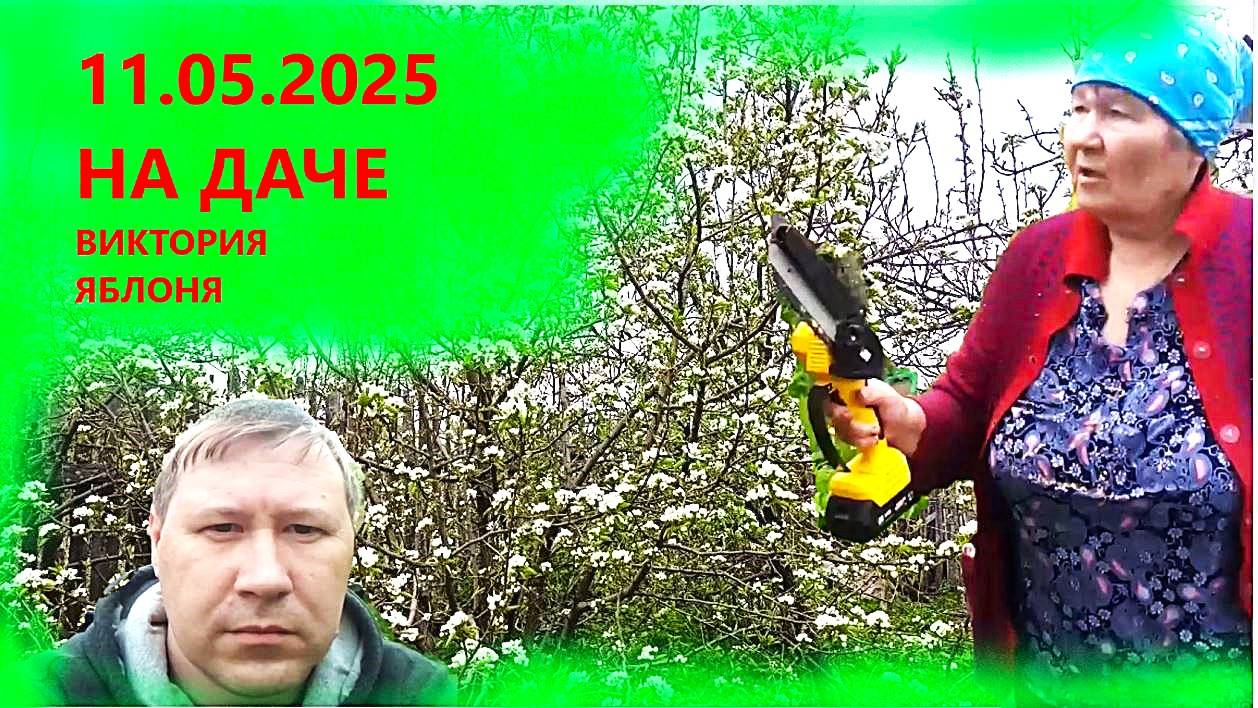 11 МАЯ 2025 ДАЧА ВИКТОРИЯ ЯБЛОНЯ